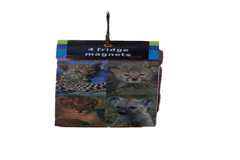 Set 4 Fridge Magnets – Cheetah Outreach